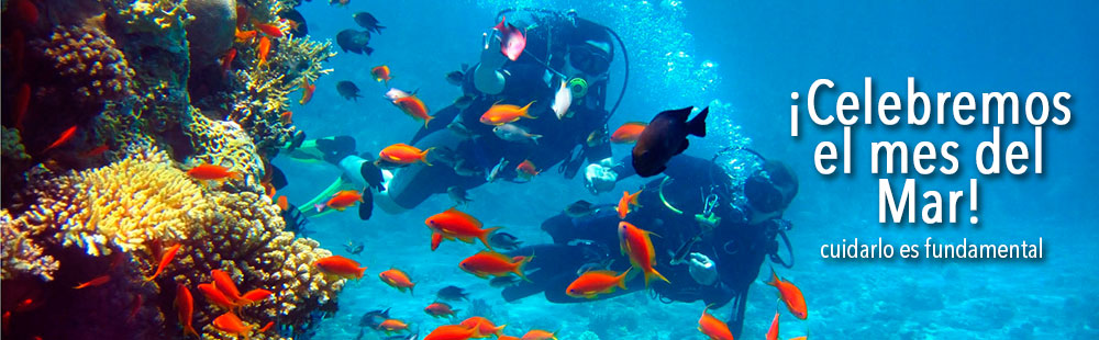 SOMNAVAL Cooperativa de Ahorro y Crédito